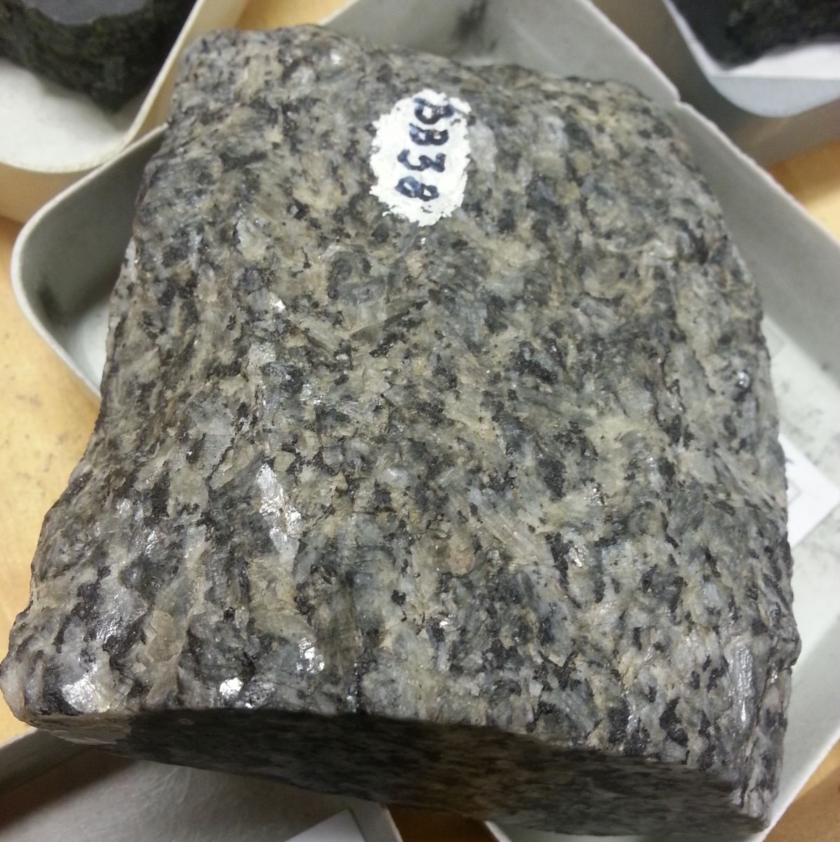 Steinquiz - ProProfs Quiz