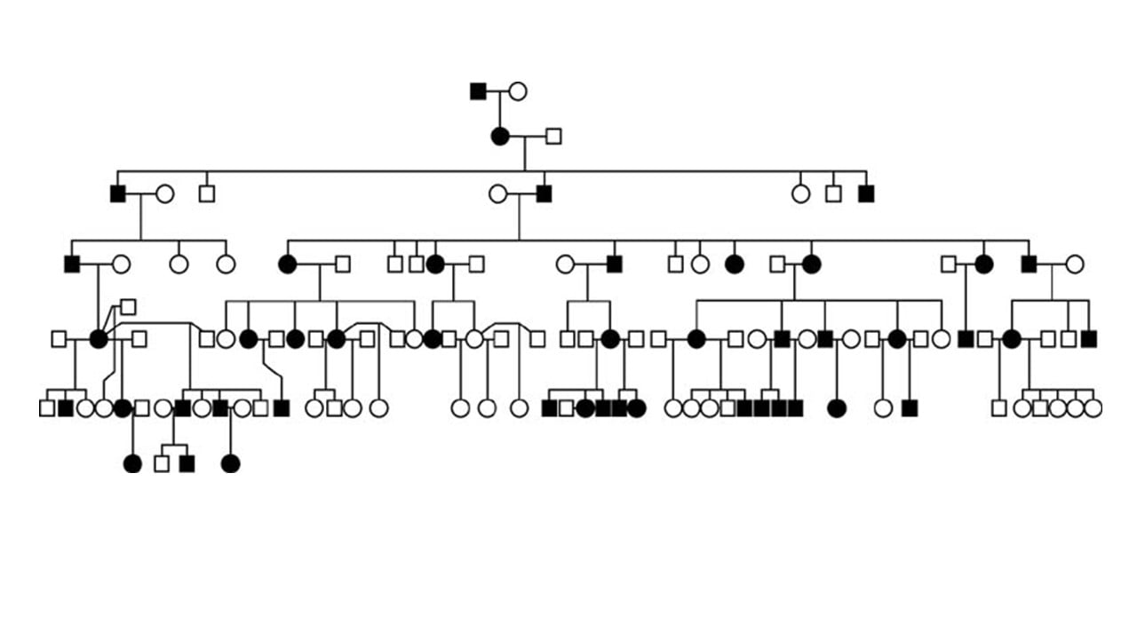 Genetic Testing | Genetic Equality Among All