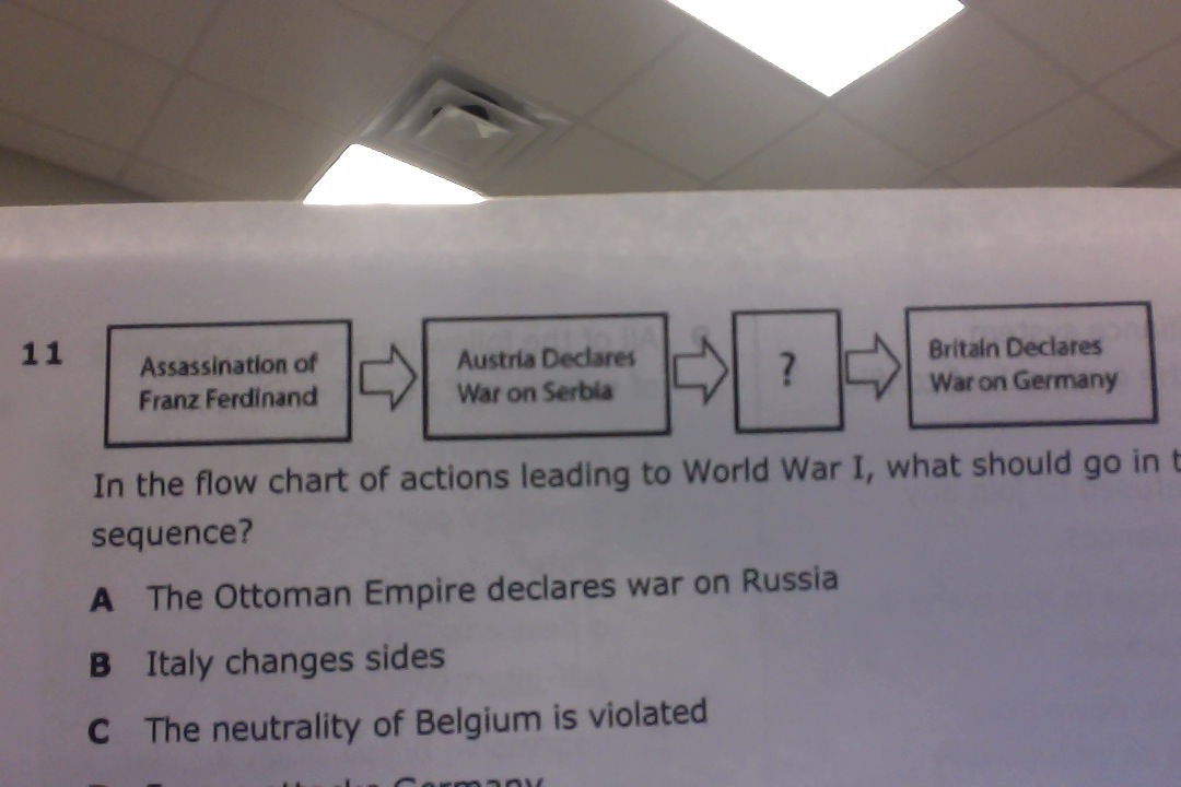 History Of The World MCQ Quiz! - Quiz, Flashcards & Trivia