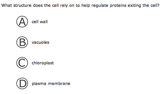 Bacteria Quiz Unit 4 Test - Quiz, Flashcards & Trivia