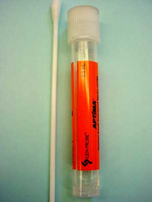 Sexually Transmitted Diseases Quiz: Trivia - Quiz, Flashcards & Trivia