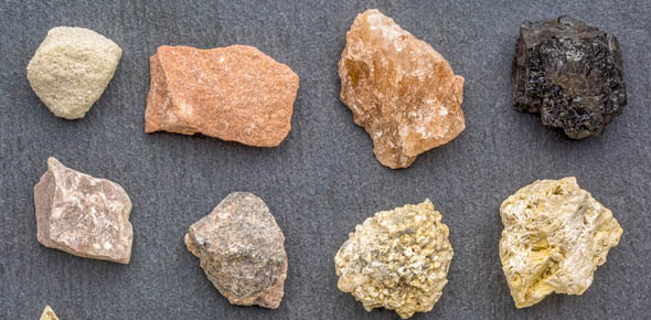 Fossiliferous Limestone Sedimentary Rock