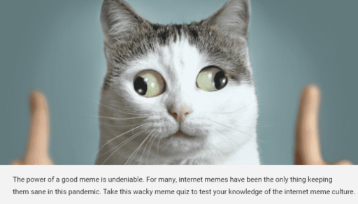 50+ Best Team Quiz Ideas for Energize Team Virtual Meet-Up