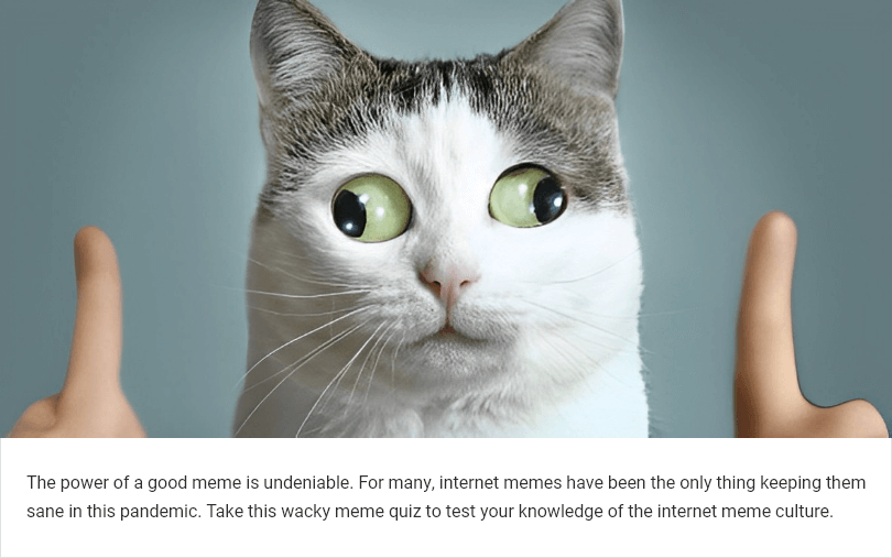 50+ Best Team Quiz Ideas for Energize Team Virtual Meet-Up