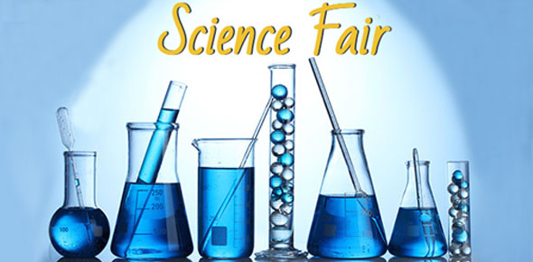 Science Fair Testing #2 - ProProfs Quiz