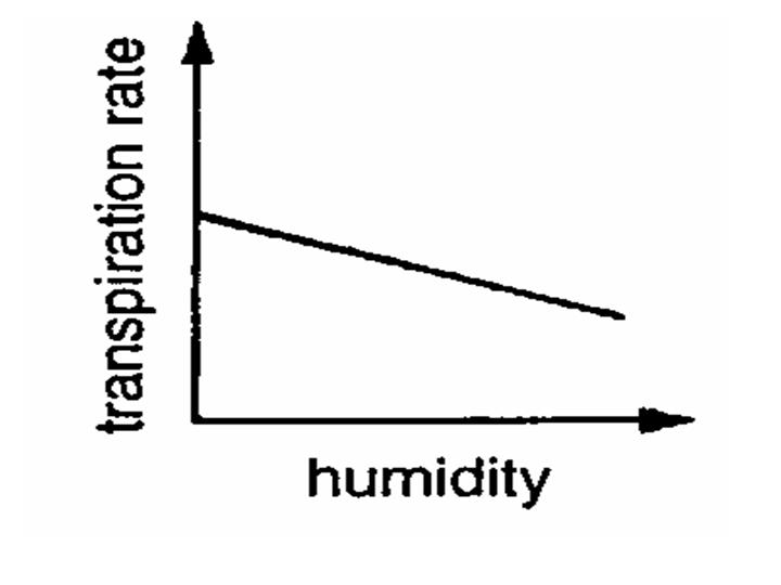 Plant Revision - ProProfs Quiz