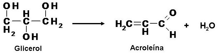 Assinale a alternativa
