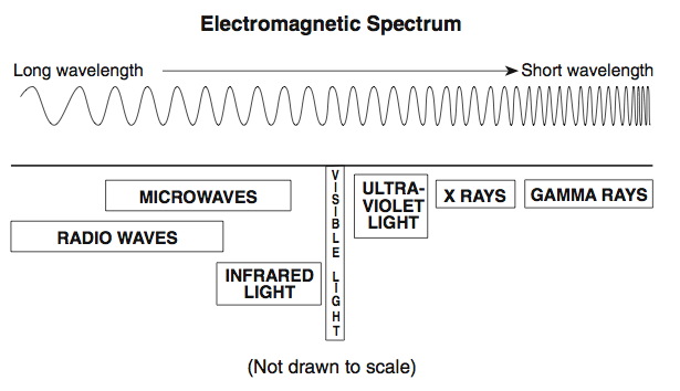 Science Exam Part 2 - Quiz, Trivia & Questions