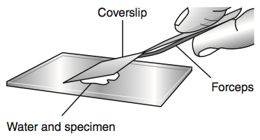 Le Lesson 2.1 - ProProfs Quiz