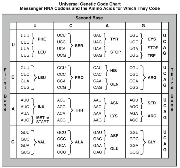 LE HWbiodiversity2 - ProProfs Quiz