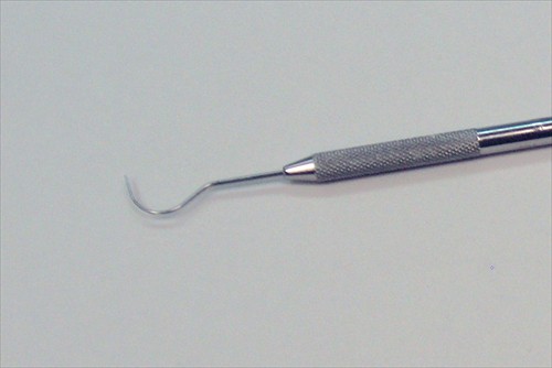 Dental Instrument Identification - ProProfs Quiz